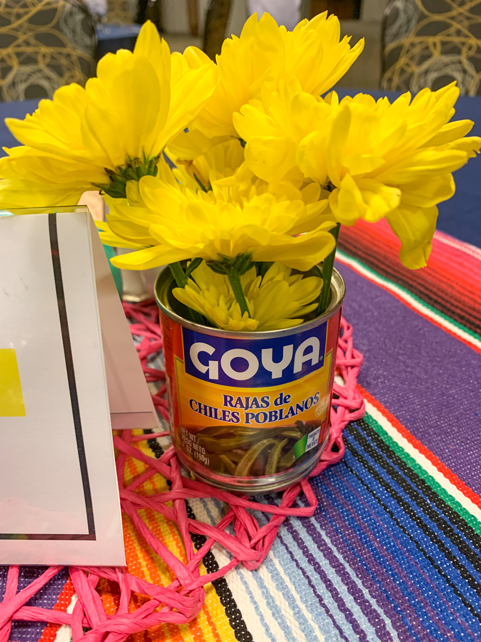 Unique Succulent Fiesta Party Theme Ideas