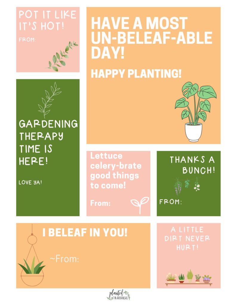 Free Printable Plant Gift Tags for Thoughtful Plant Gifts